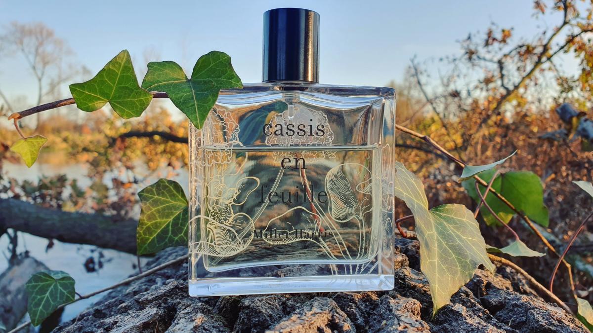 Cassis en Feuille Miller Harris parfum - un parfum pour femme 2015