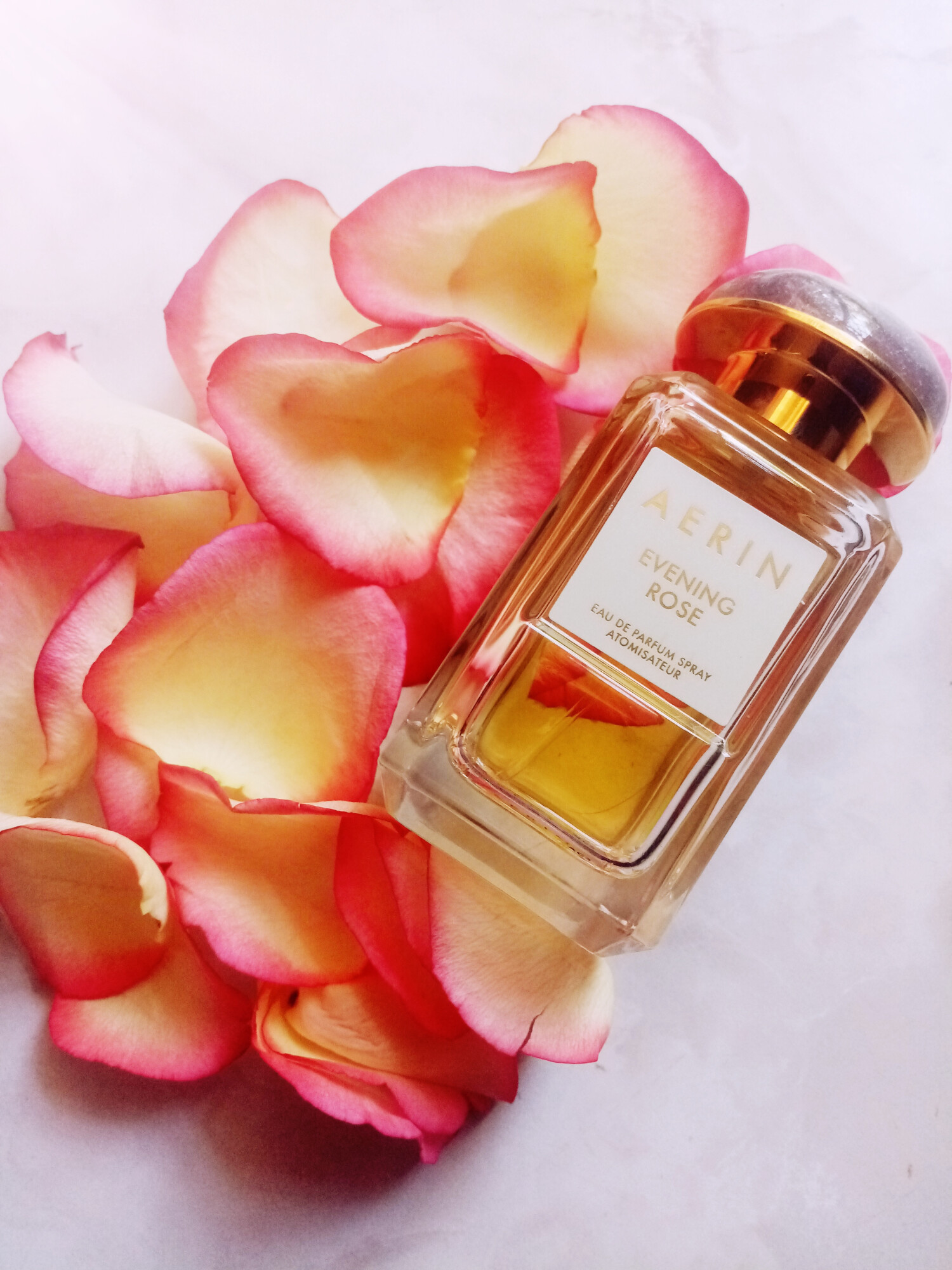 Evening Rose Aerin parfum - un parfum pour femme 2013