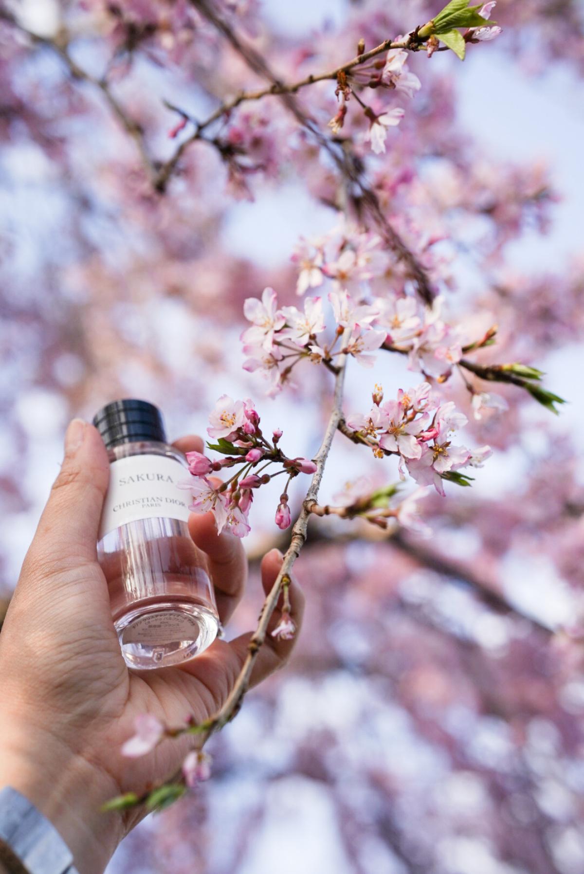 Sakura Dior parfum - un parfum pour homme et femme 2018