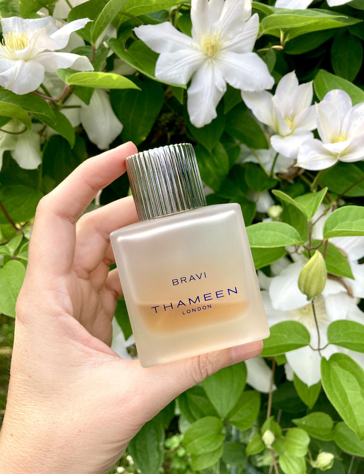 Bravi Thameen fragancia - una nuevo fragancia para Hombres y Mujeres 2023