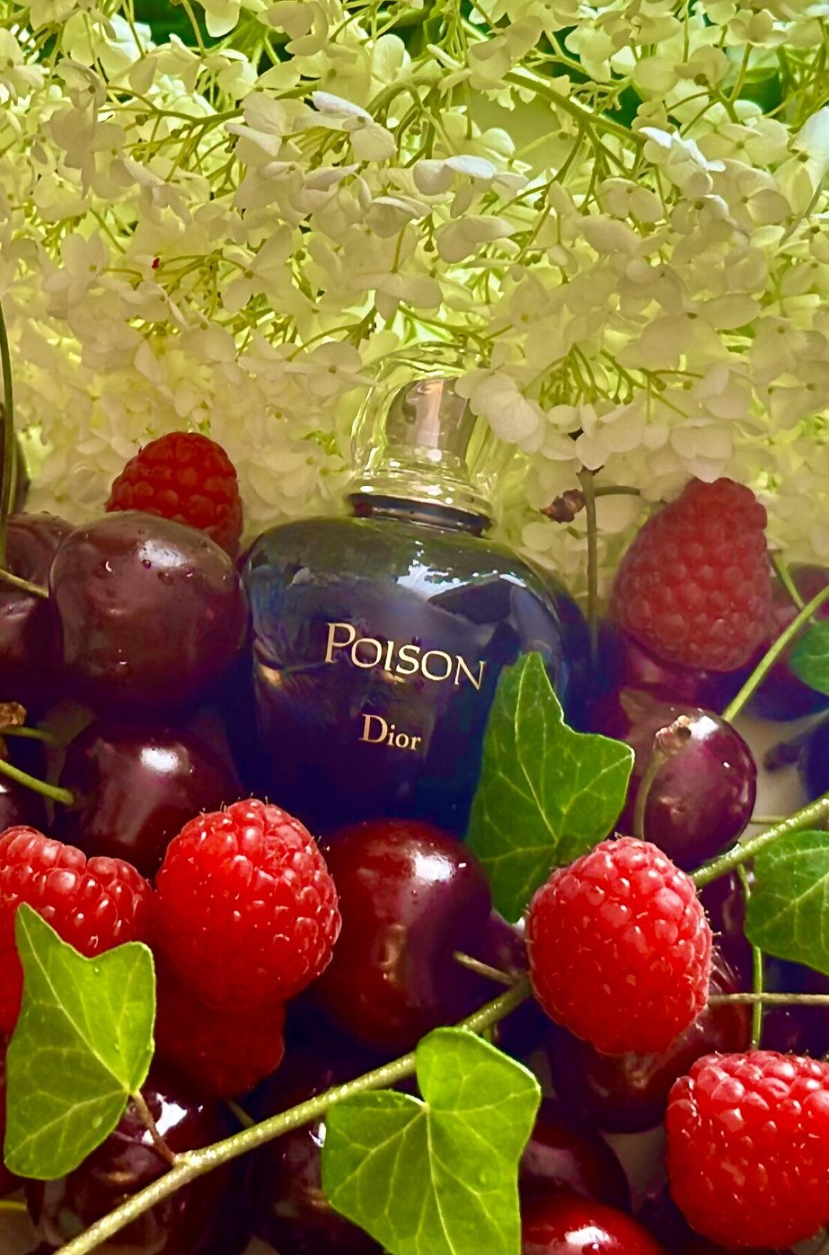 Poison Dior perfume - a fragrância Feminino 1985