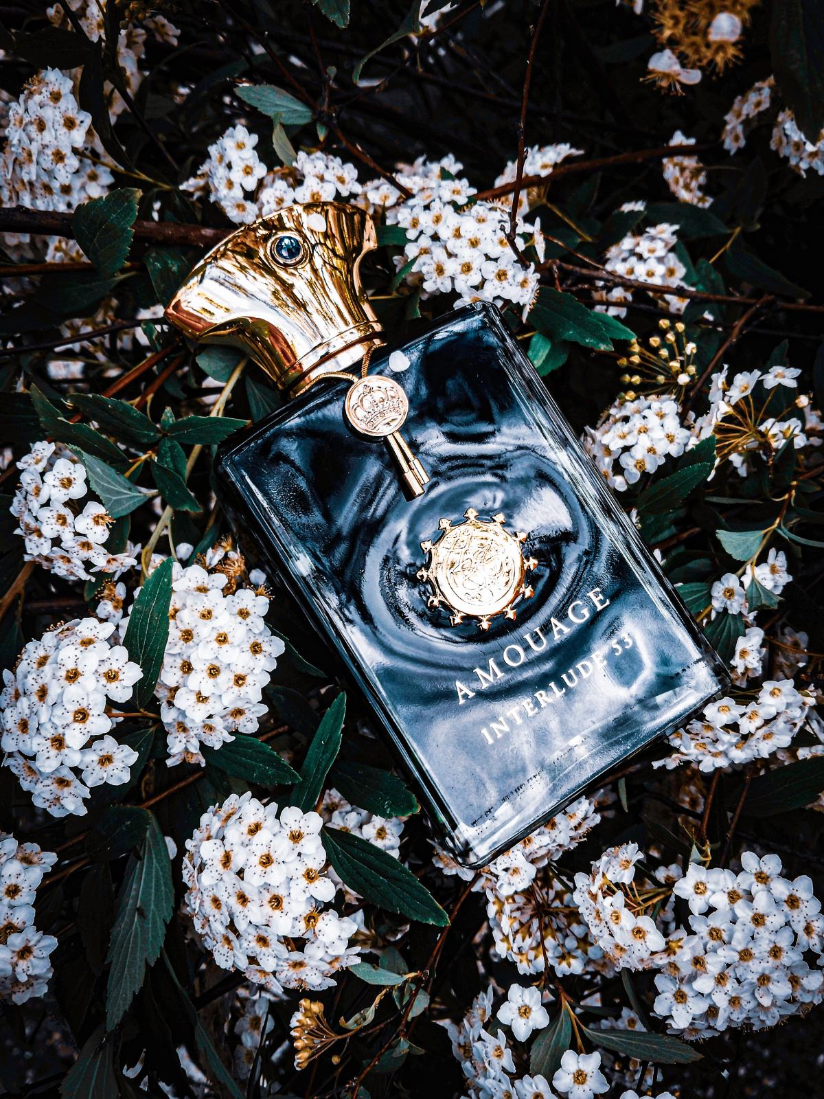 Interlude 53 Man Amouage Colonia - una fragancia para Hombres 2020