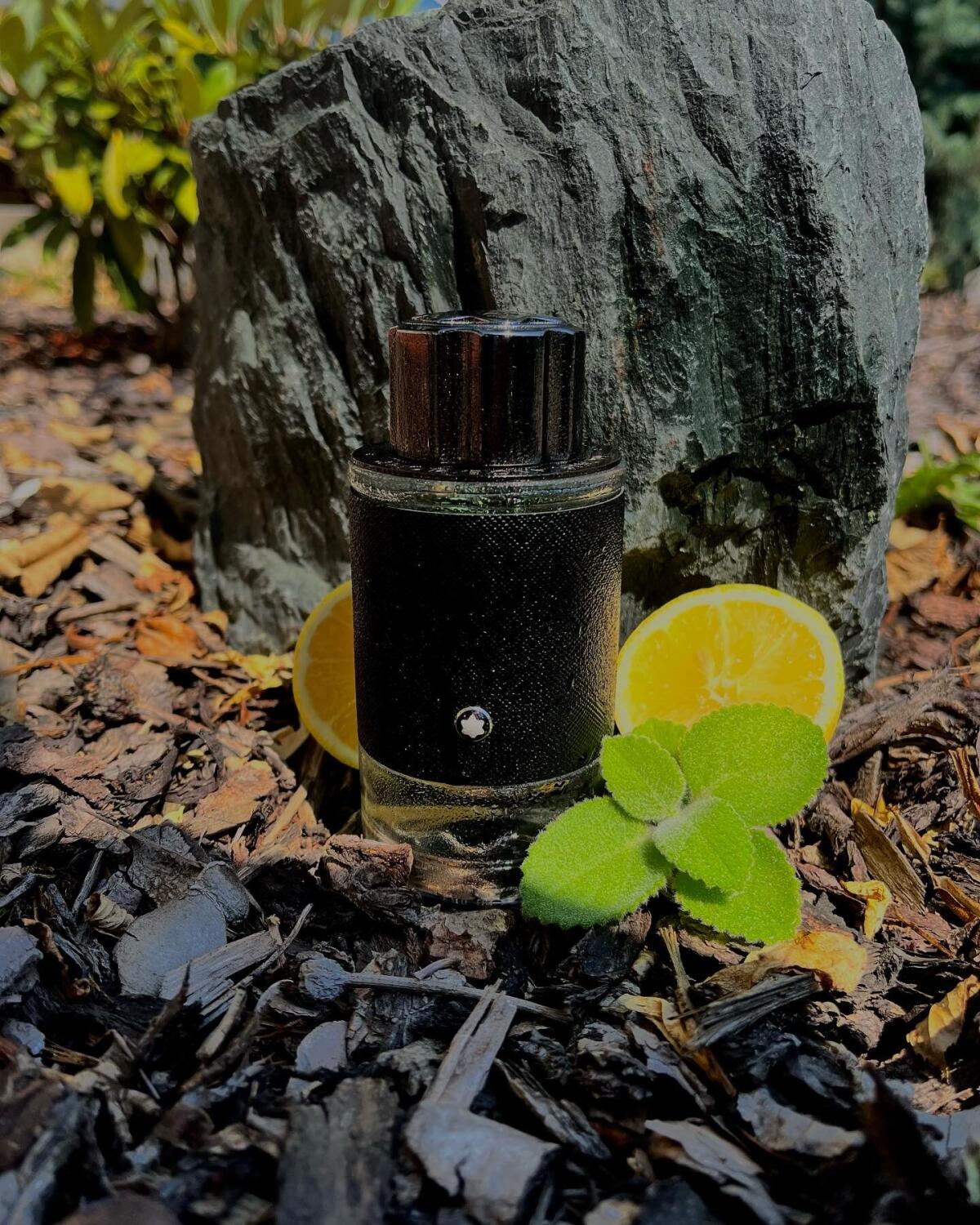 Explorer Montblanc Cologne - un parfum pour homme 2019