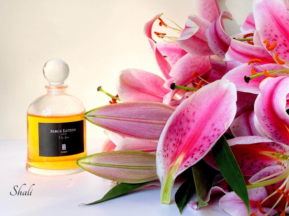 Un Lys Serge Lutens parfum - un parfum pour homme et femme 2007