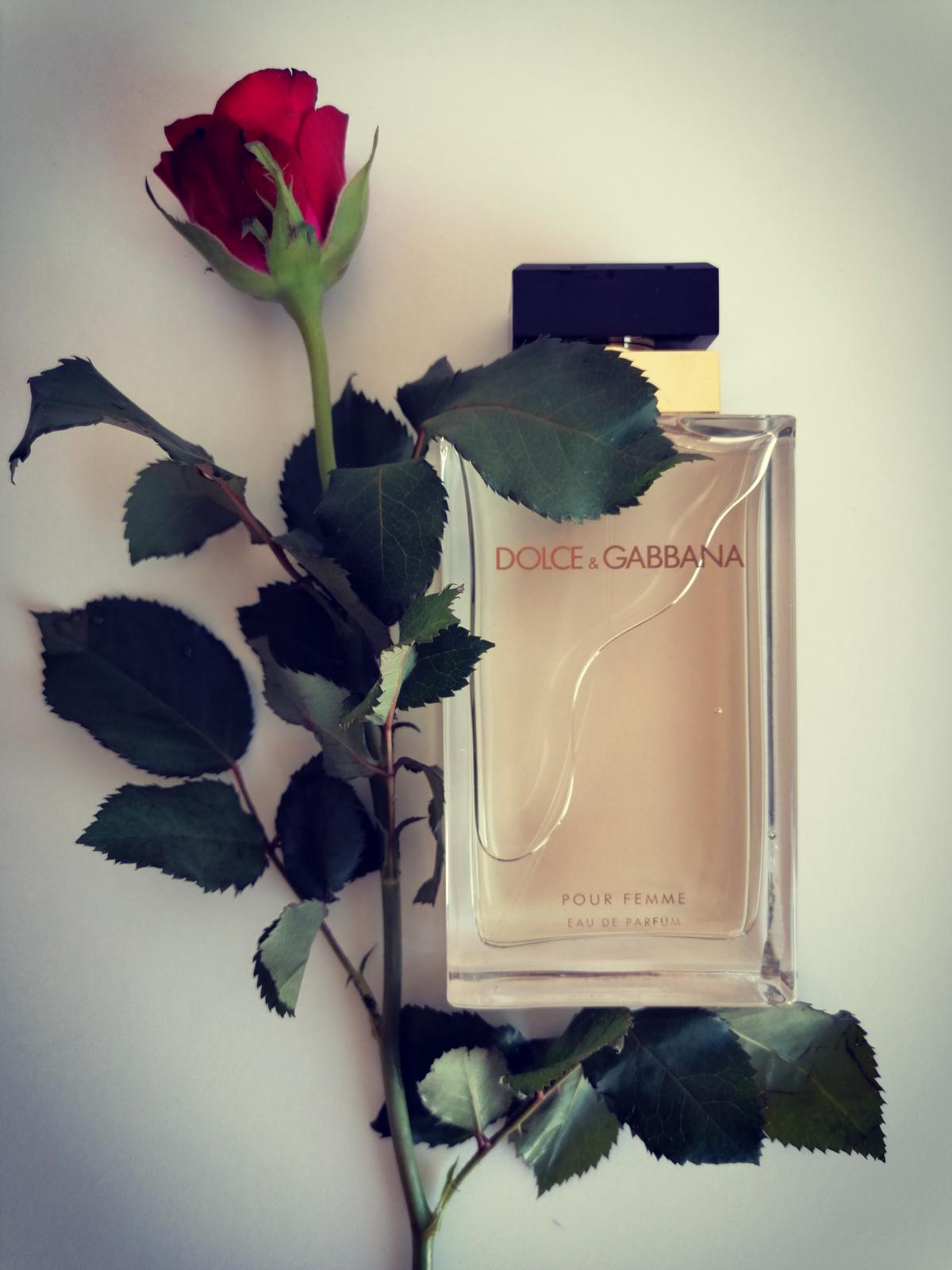 Dolce&Gabbana Pour Femme Dolce&Gabbana Parfum - ein es Parfum für ...