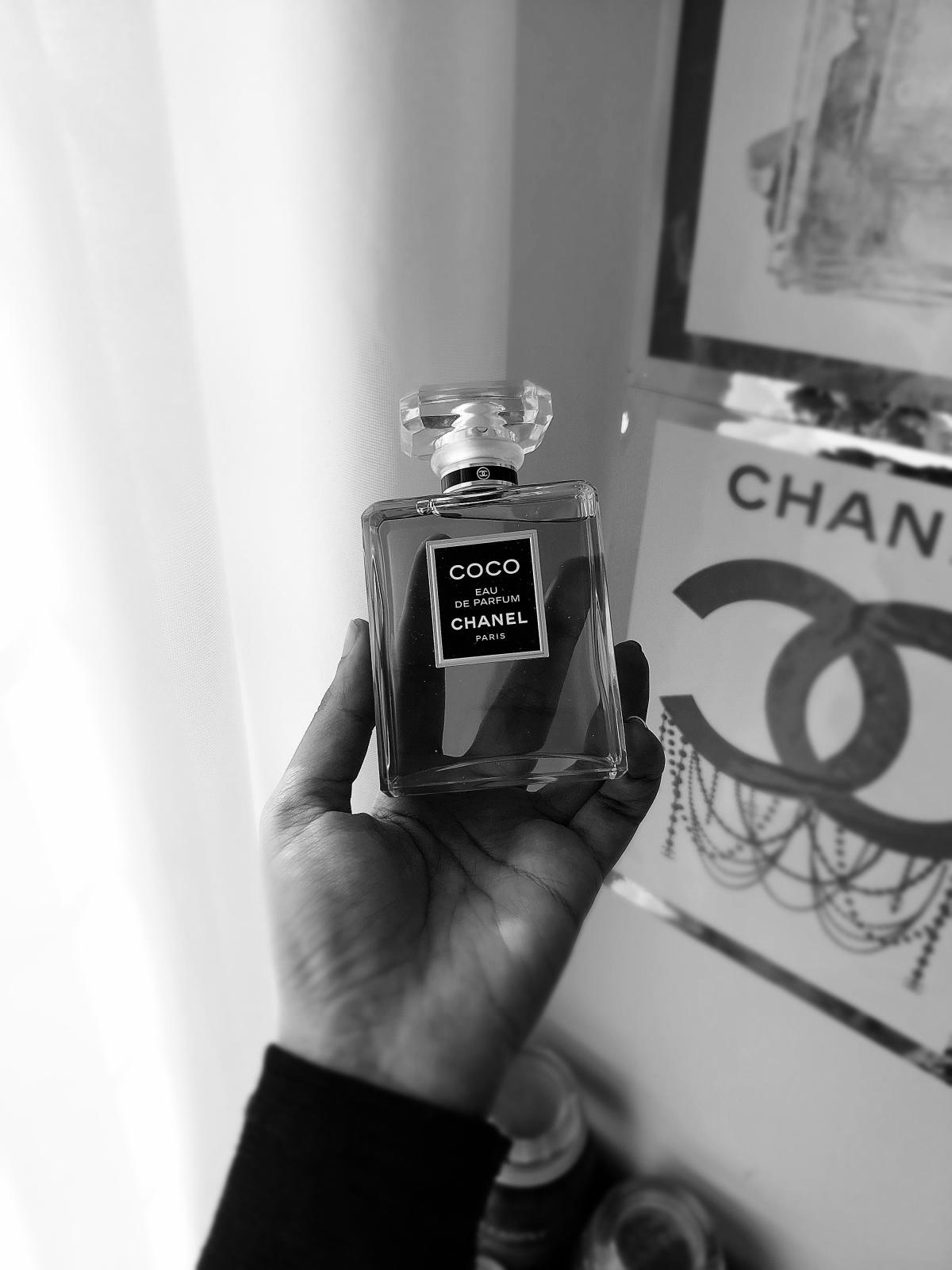 Coco Eau de Parfum Chanel perfume - a fragrância Feminino 1984
