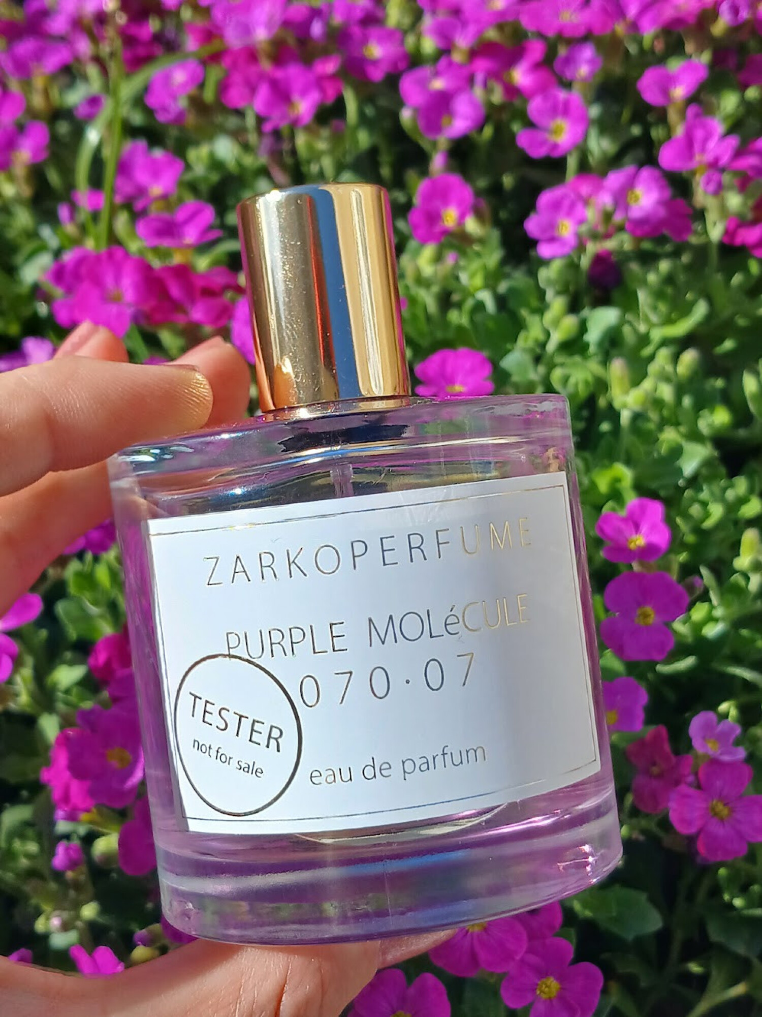 Purple Molecule 070 · 07 ZARKOPERFUME Parfum - ein es Parfum für Frauen ...