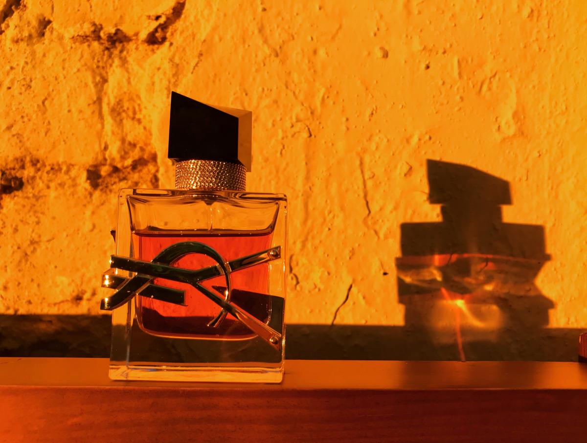 Libre Intense Yves Saint Laurent perfume - a novo fragrância Feminino 2020