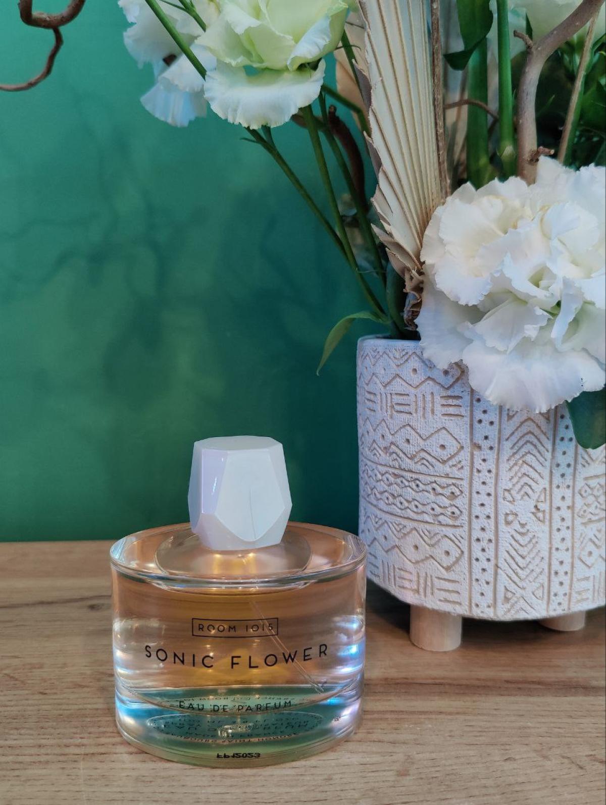 Sonic Flower Room 1015 perfume - a novo fragrância Compartilhável 2023