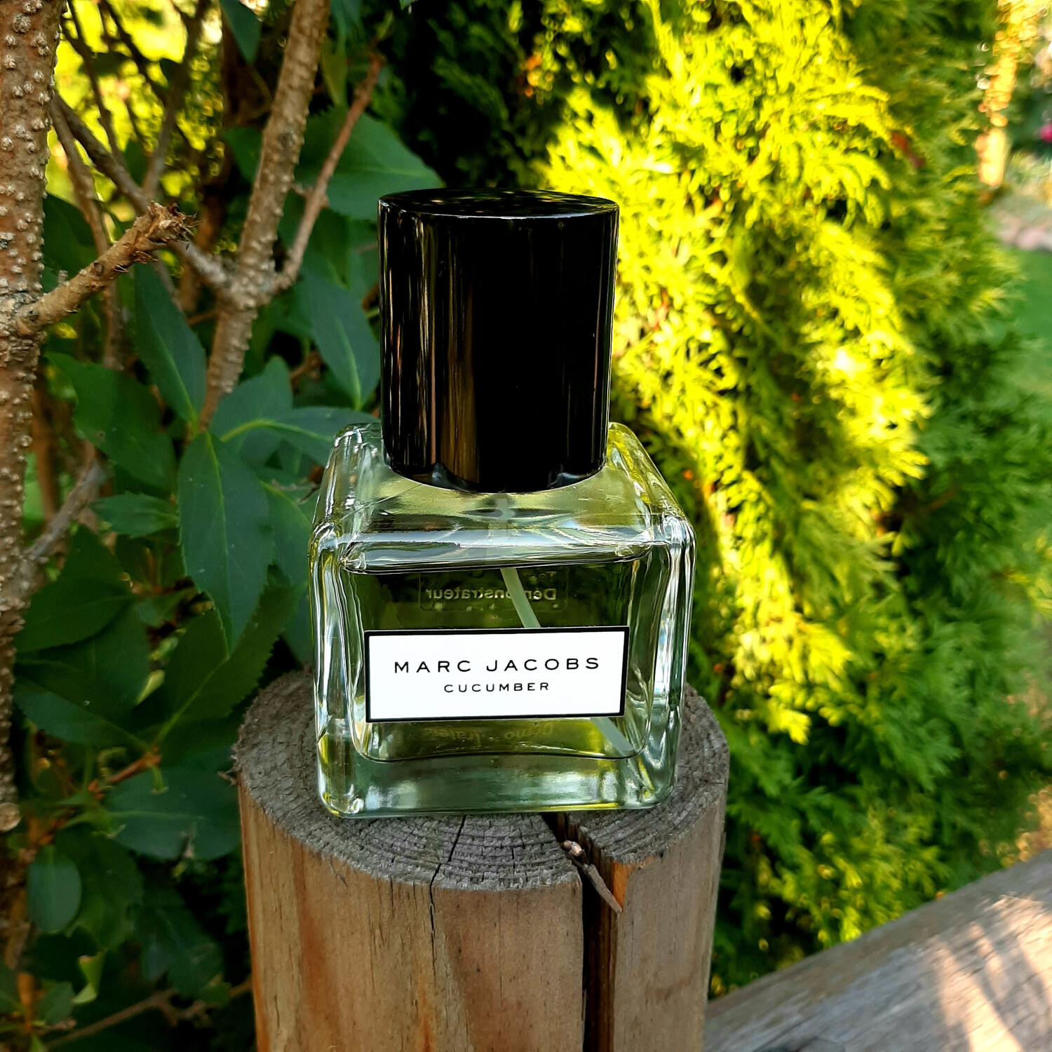 Marc Jacobs Cucumber Splash 2016 Marc Jacobs parfum - un parfum pour ...