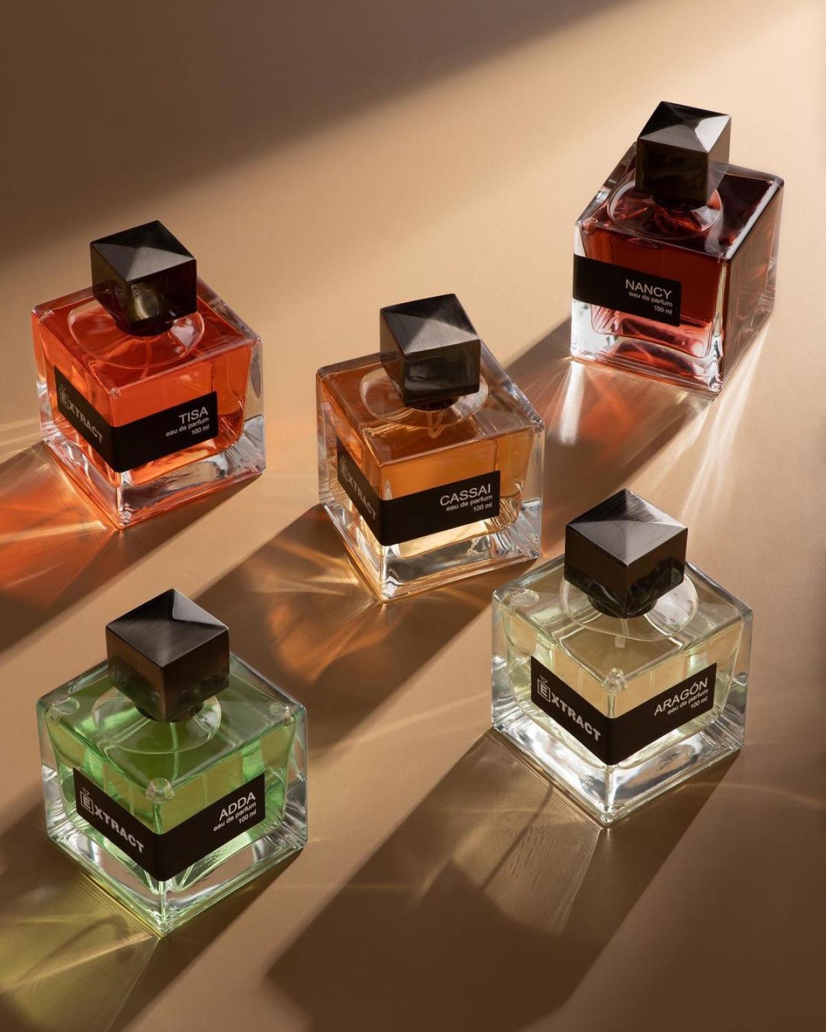 Nancy Extract perfume - a novo fragrância Feminino 2022