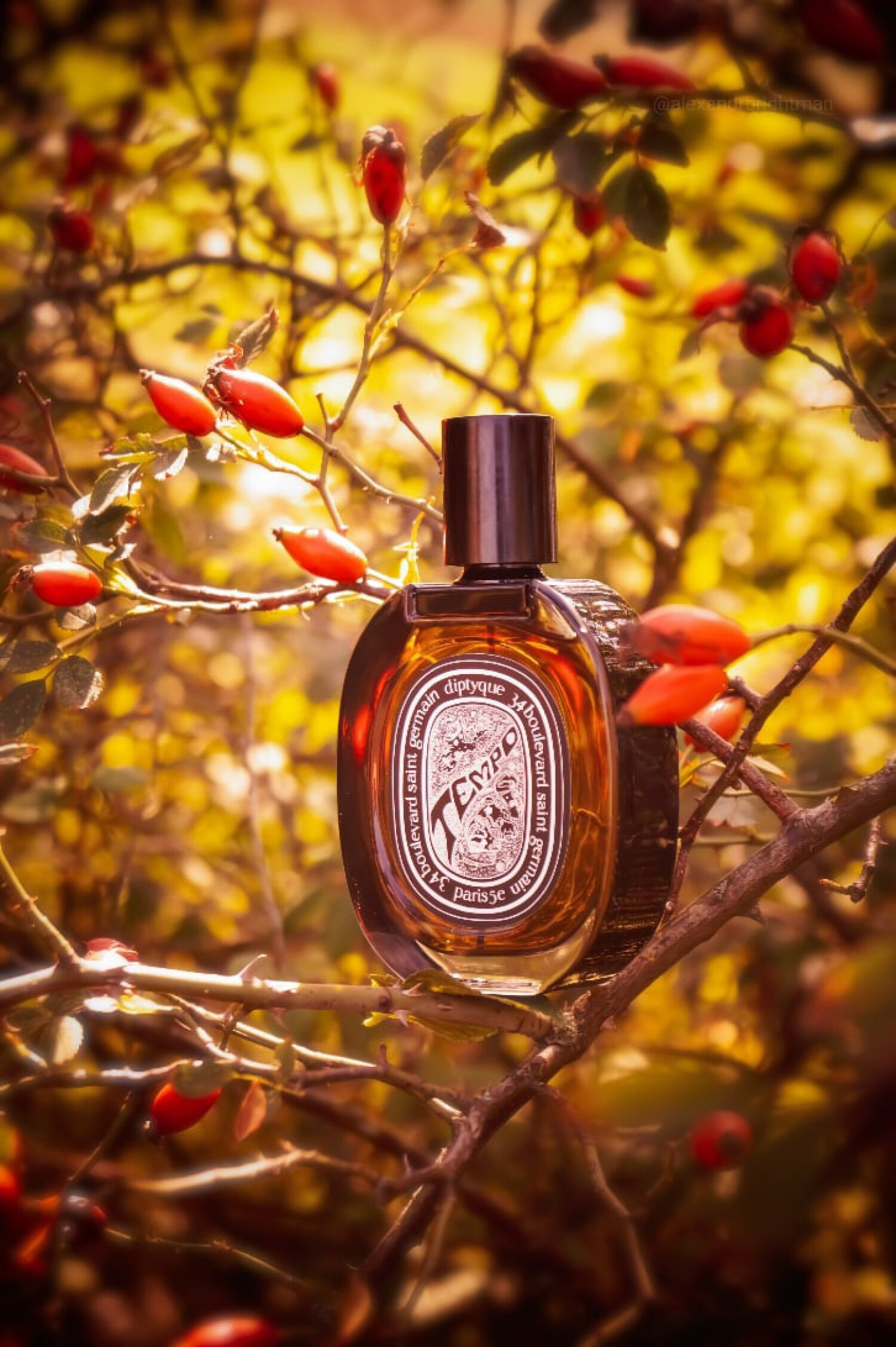 Tempo Eau de Parfum Diptyque - una fragranza unisex 2018
