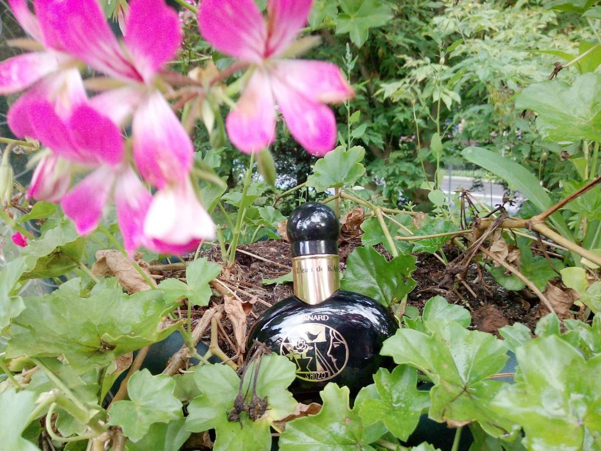 L'eau de Kasaneka Menard аромат — аромат для женщин 2004