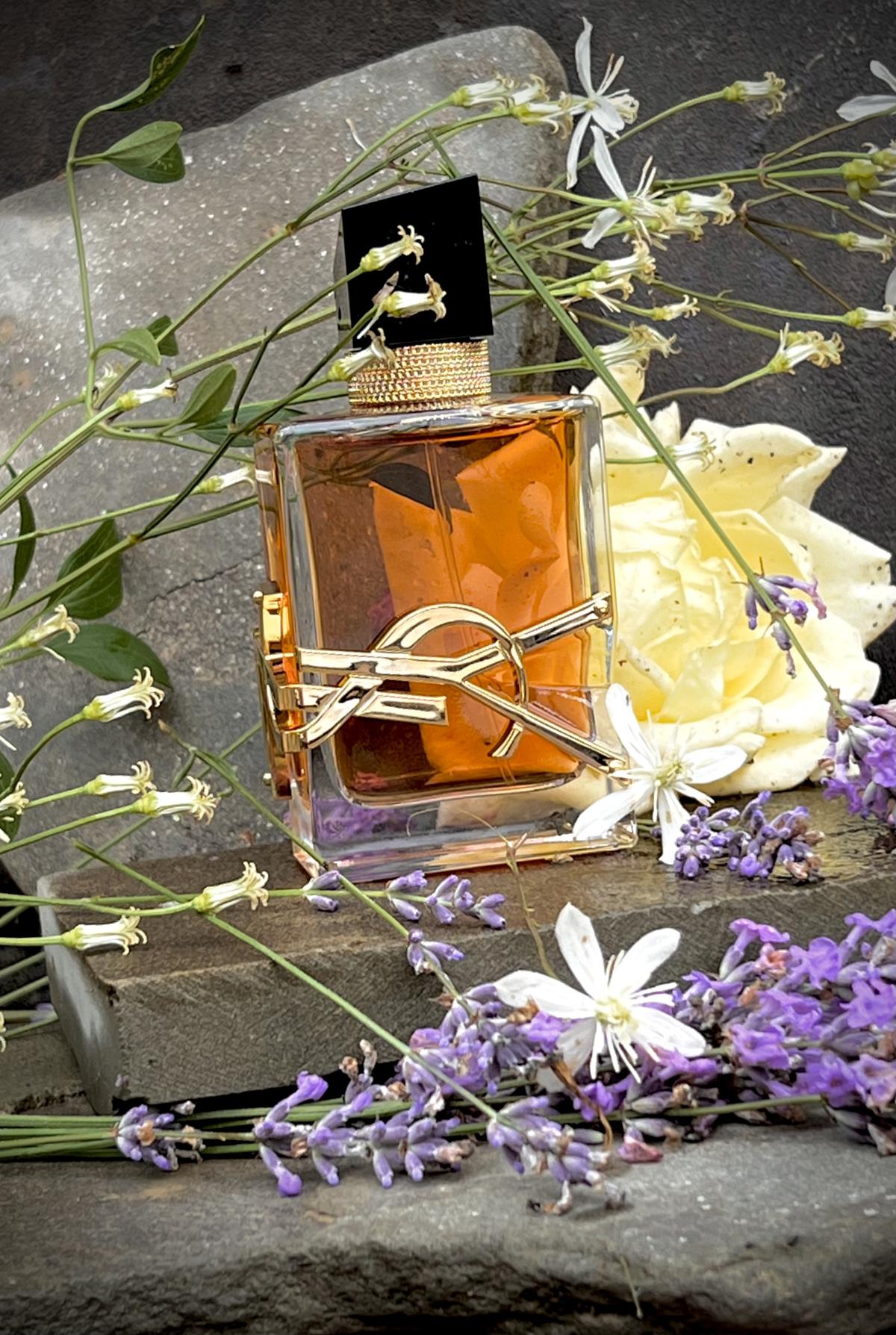 Libre Intense Yves Saint Laurent perfumy - to perfumy dla kobiet 2020