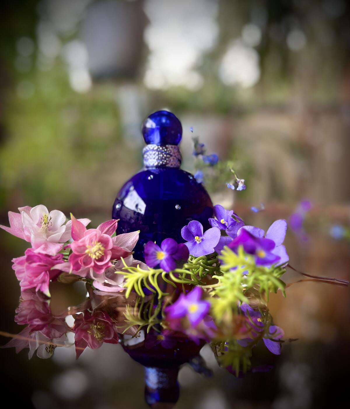 Midnight Fantasy Britney Spears perfume - a fragrância Feminino 2006