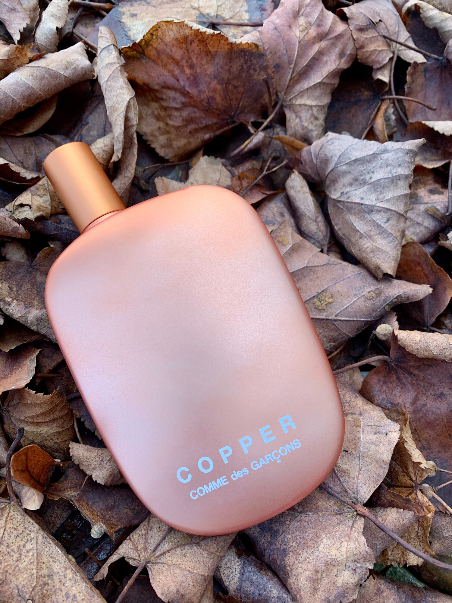 Copper Comme des Garcons аромат — аромат для мужчин и женщин 2019