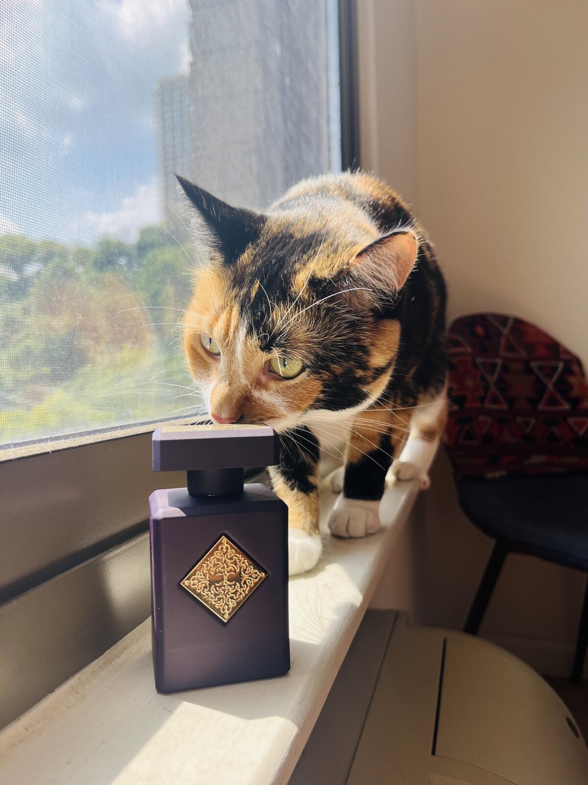 Side Effect Initio Parfums Prives parfum - un parfum pour homme et ...