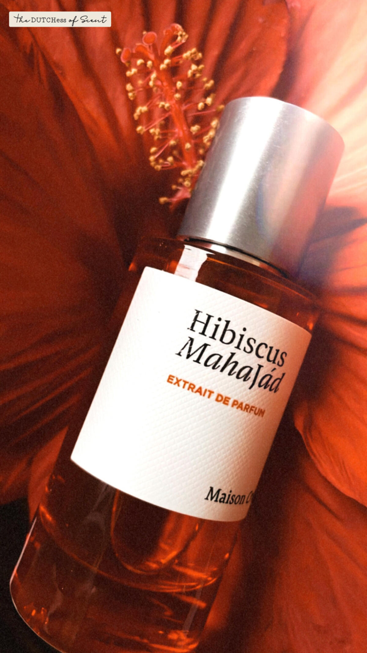 Hibiscus Mahajád Maison Crivelli άρωμα - ένα άρωμα για γυναίκες και ...