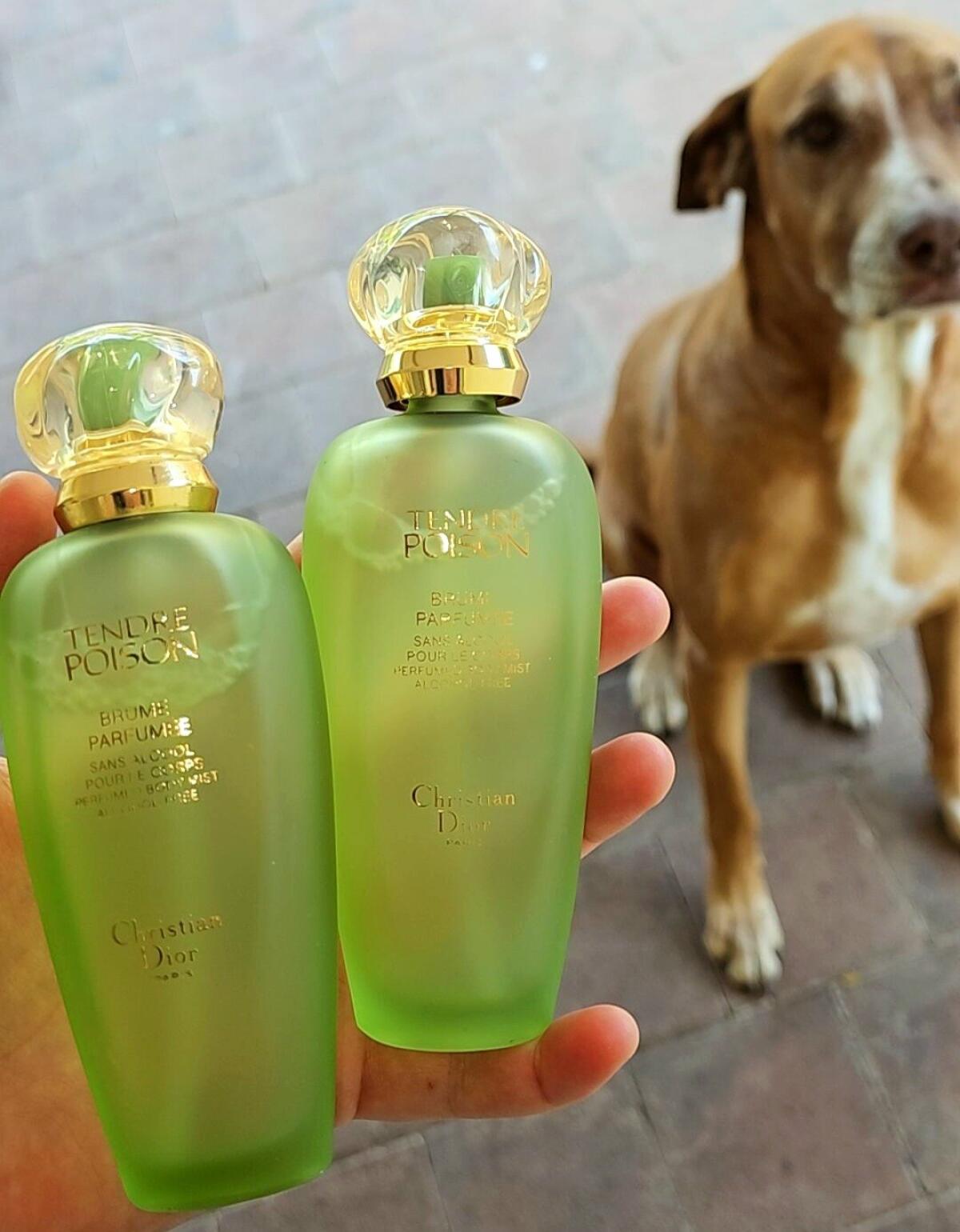 Tendre Poison Dior fragancia - una fragancia para Mujeres 1994