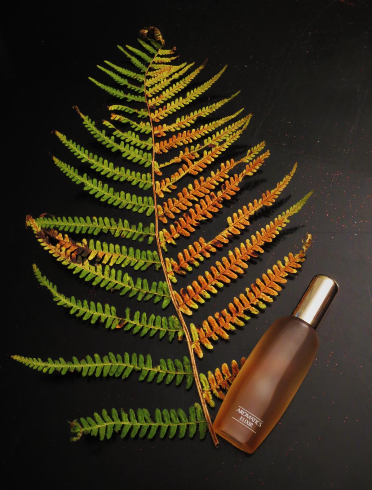 Aromatics Elixir Clinique perfume - a fragrância Feminino 1971