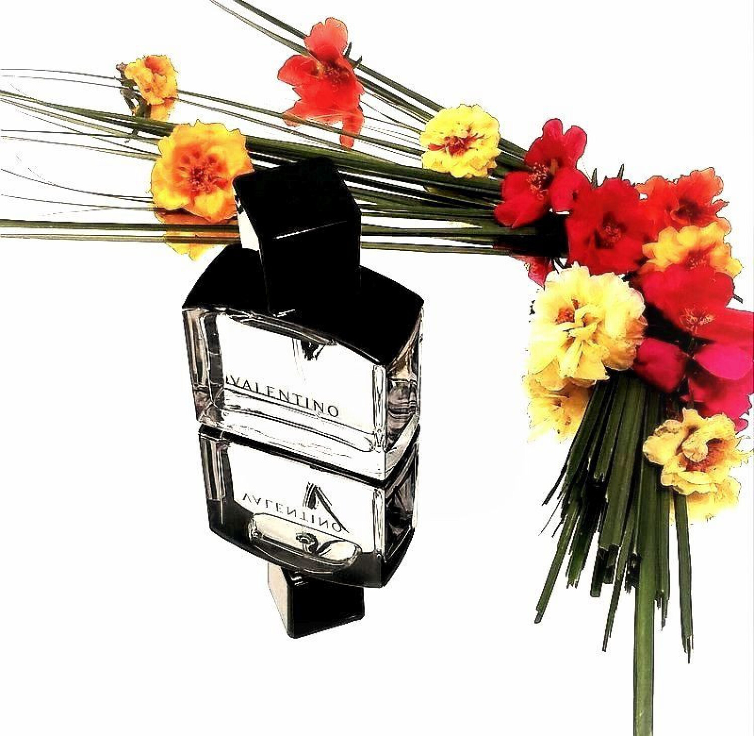 V pour Homme Valentino Colonia - una fragancia para Hombres 2006