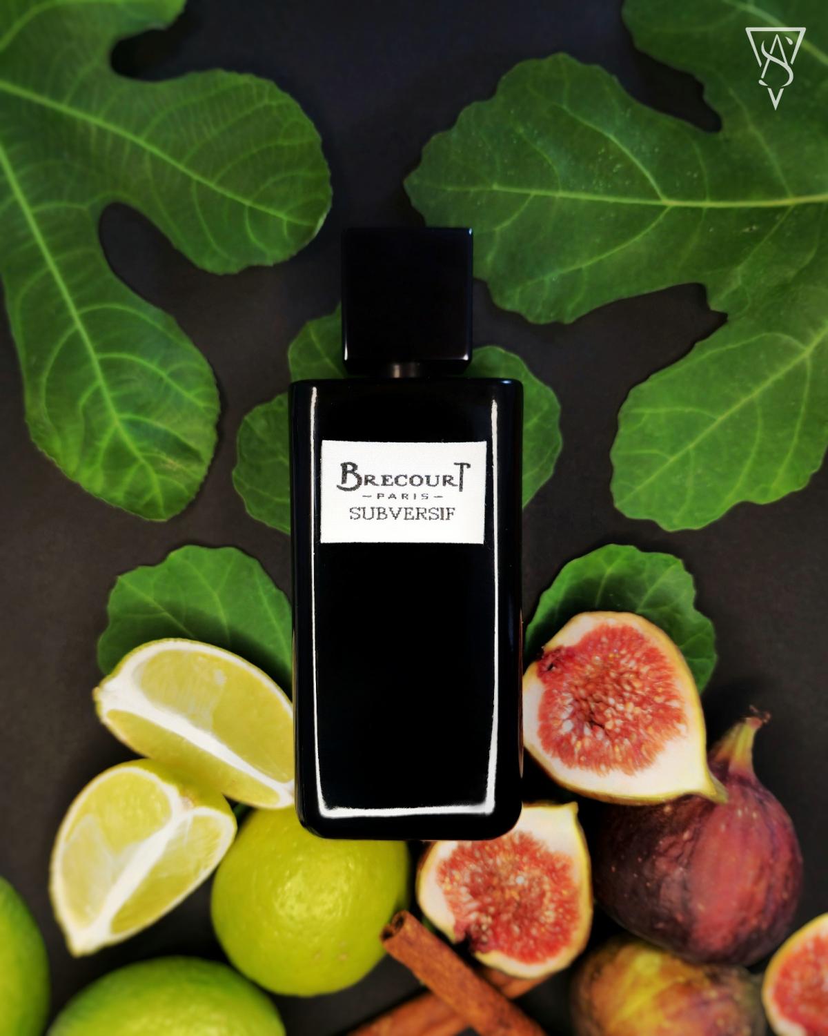 Subversif Brecourt аромат — аромат для мужчин и женщин 2016