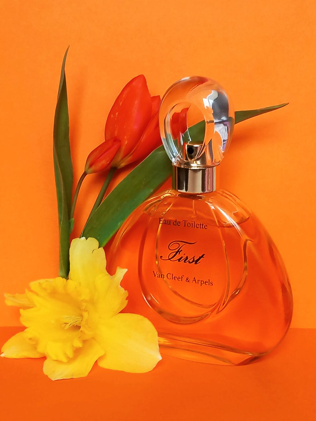 First Van Cleef & Arpels άρωμα - ένα άρωμα για γυναίκες 1976