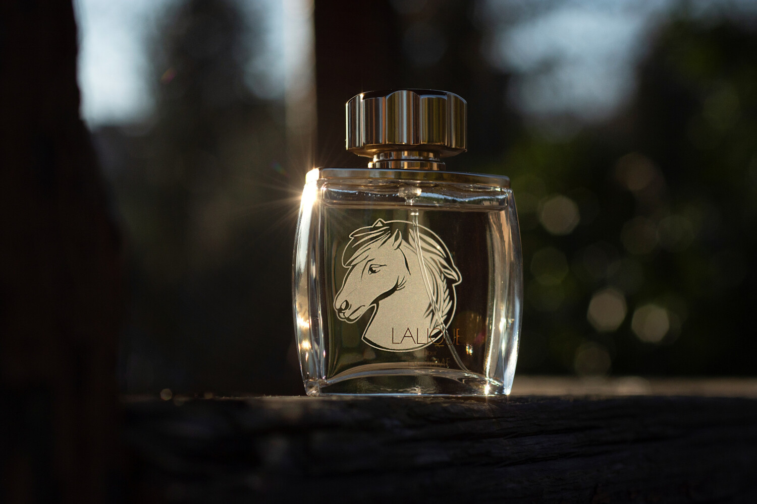 Lalique Pour Homme Equus Lalique Cologne - ein es Parfum für Männer 2001