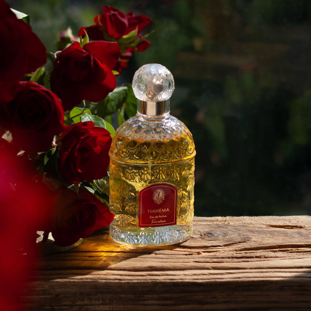 Nahema Guerlain άρωμα - ένα άρωμα για γυναίκες 1979