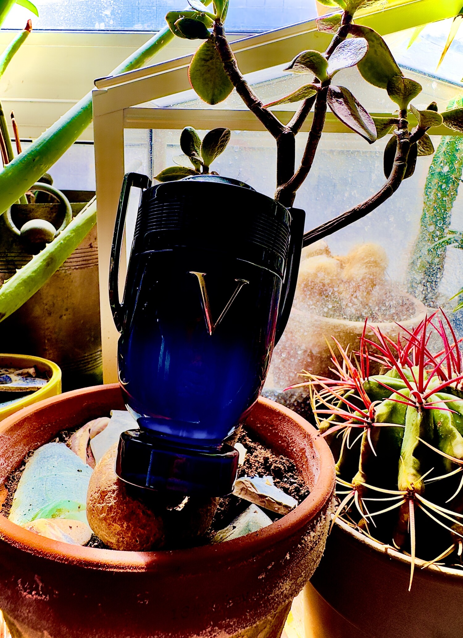 Invictus Victory Elixir Rabanne Cologne - un nouveau parfum pour homme 2023