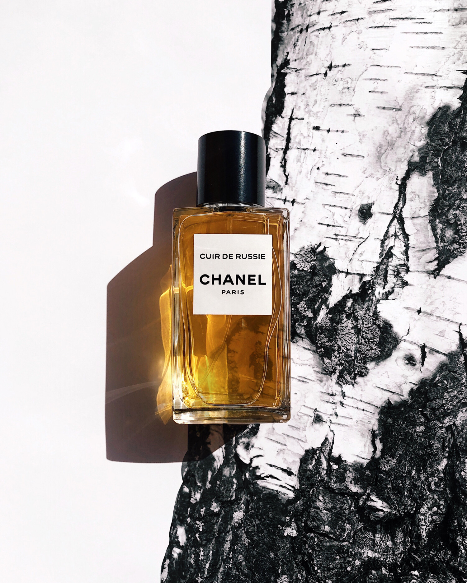 Les Exclusifs de Chanel Cuir de Russie Chanel parfum - een geur voor ...