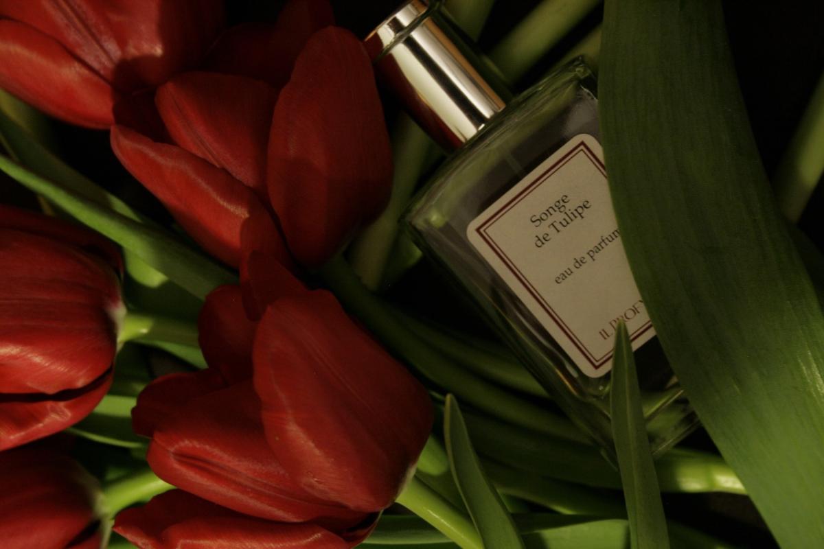 Multiflor Line Songe de Tulipe Il Profvmo fragancia - una fragancia ...