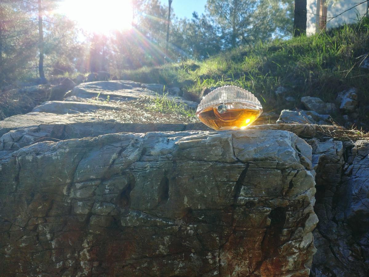 Kenzo World Power Kenzo perfume - a fragrância Feminino 2019