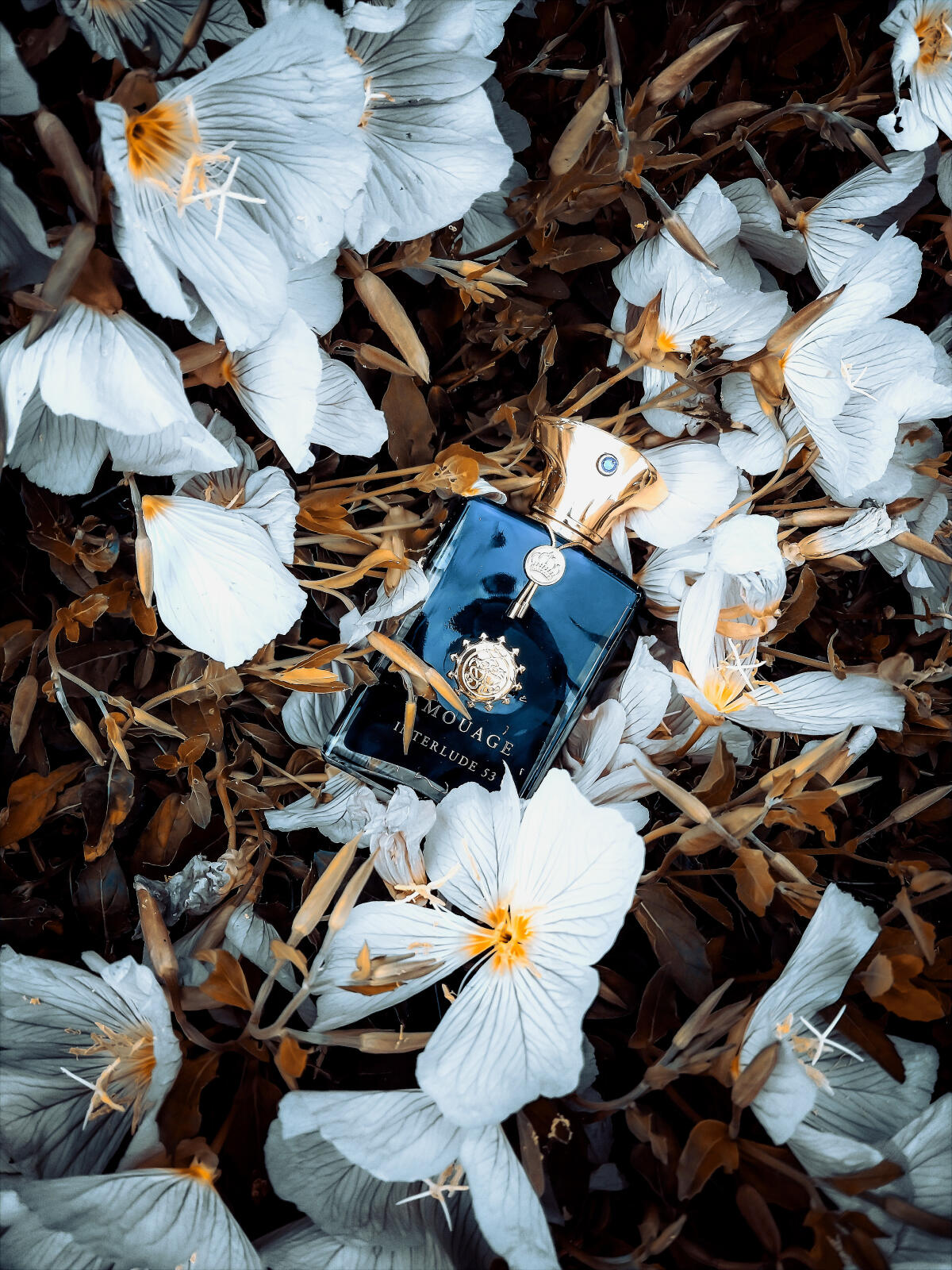 Interlude 53 Man Amouage Colonia - una fragancia para Hombres 2020