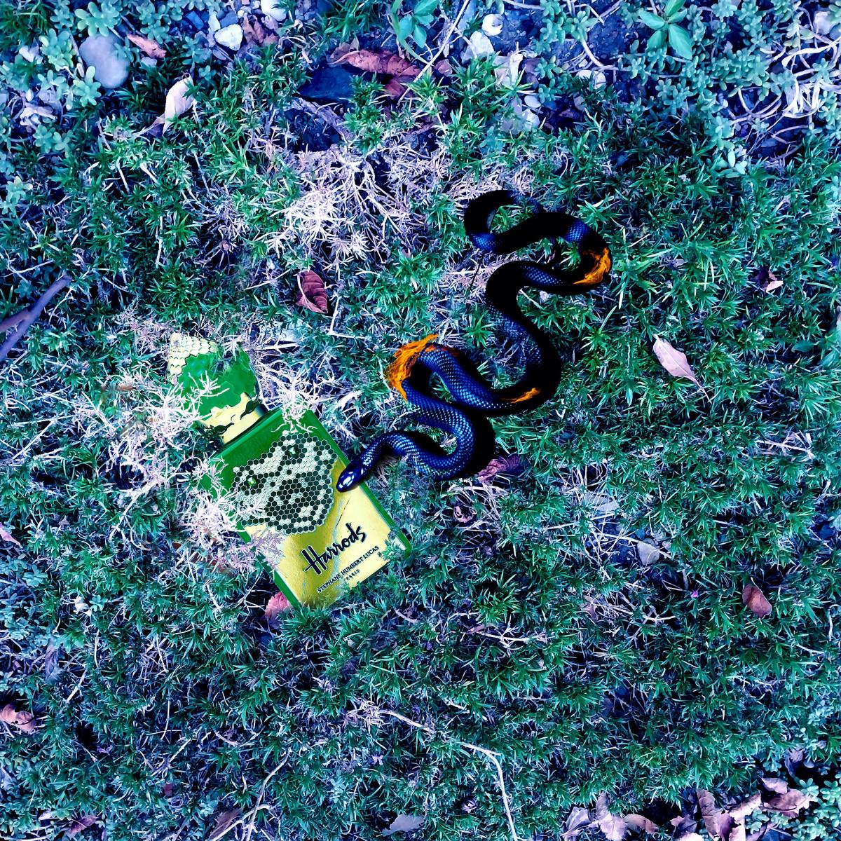 Harrods H Mamba Stéphane Humbert Lucas 777 parfum - un parfum pour ...