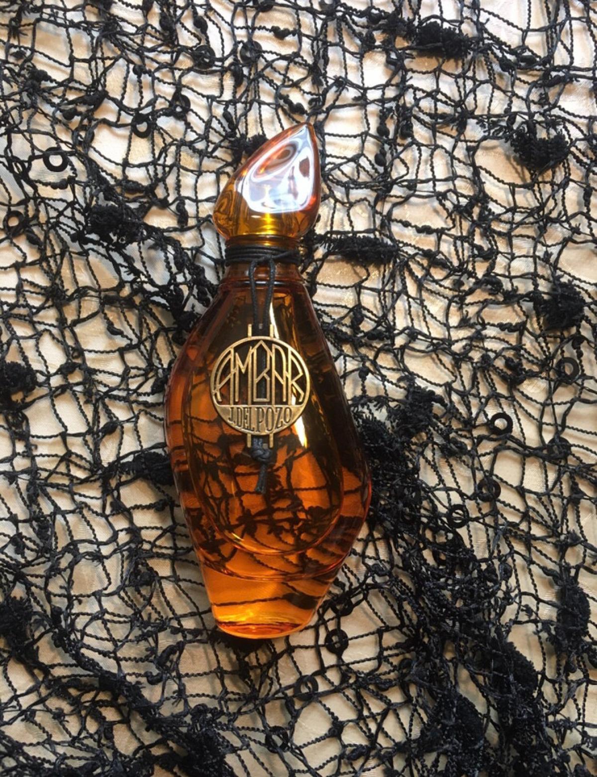 Ambar Jesus Del Pozo parfum - een geur voor dames 2010