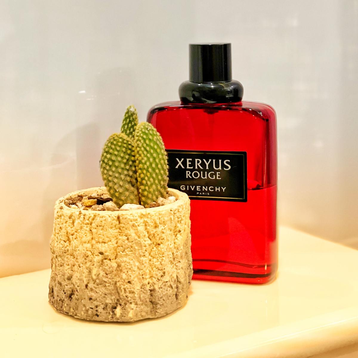 Xeryus Rouge Givenchy zapach - to perfumy dla mężczyzn 1995