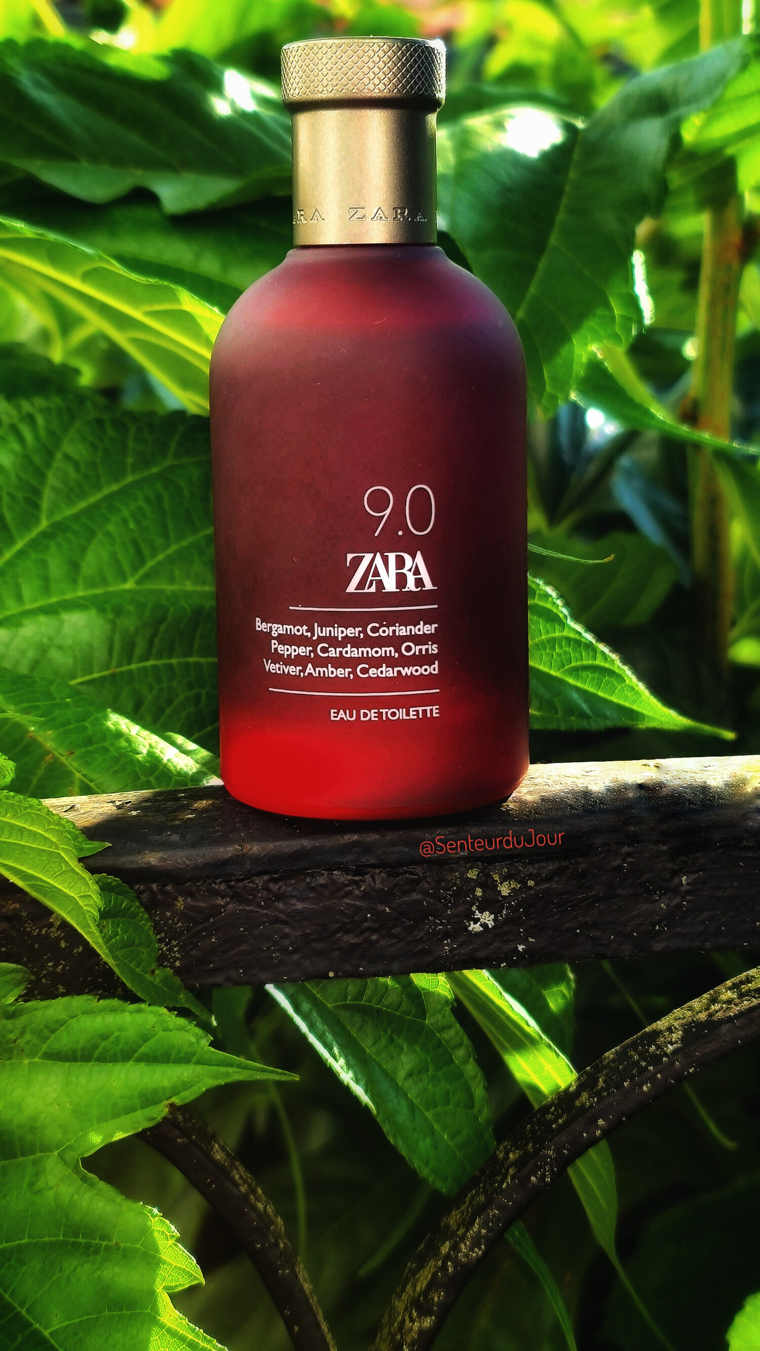 9 0 Zara Zara 2015 9 0 Zara Zara 2015