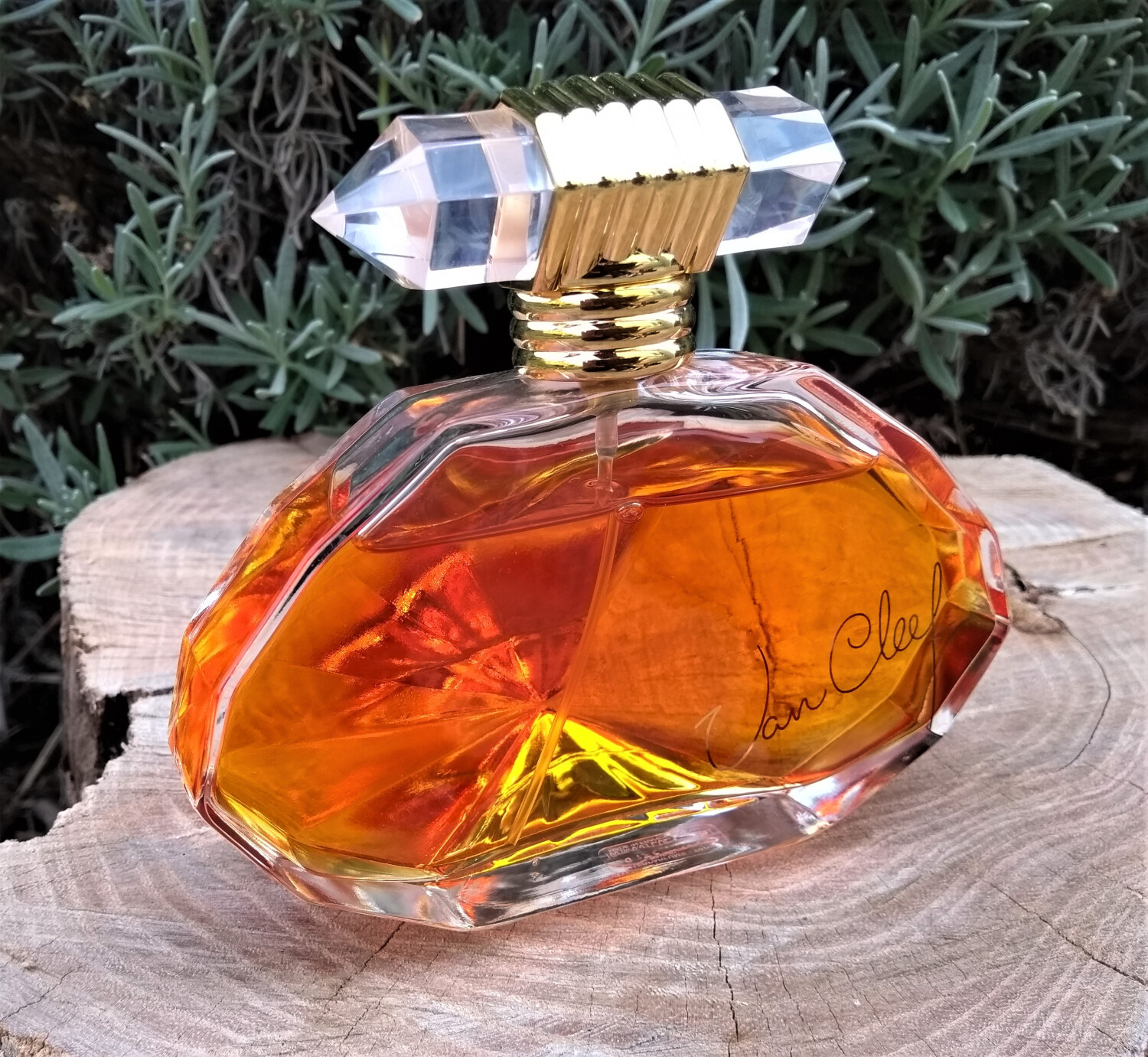 Van Cleef Van Cleef & Arpels άρωμα - ένα άρωμα για γυναίκες 1993