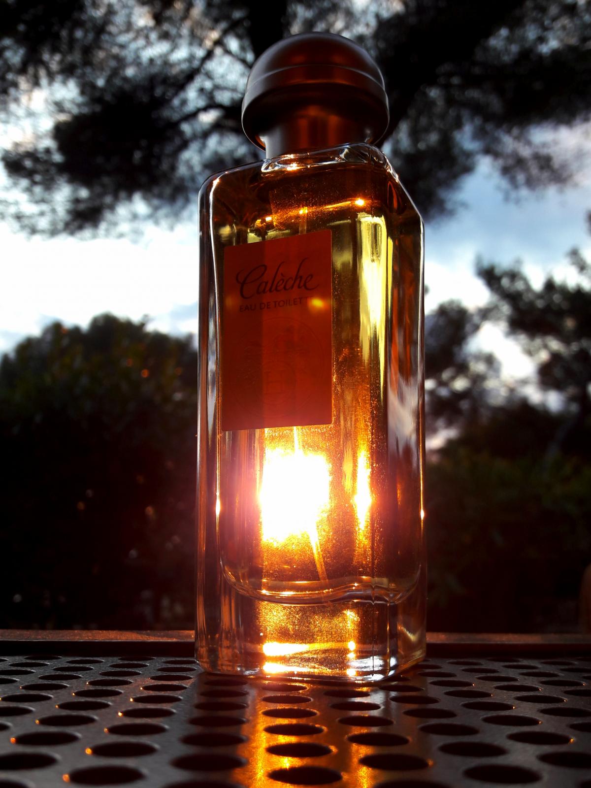 Caleche Hermès perfume - a fragrância Feminino 1961