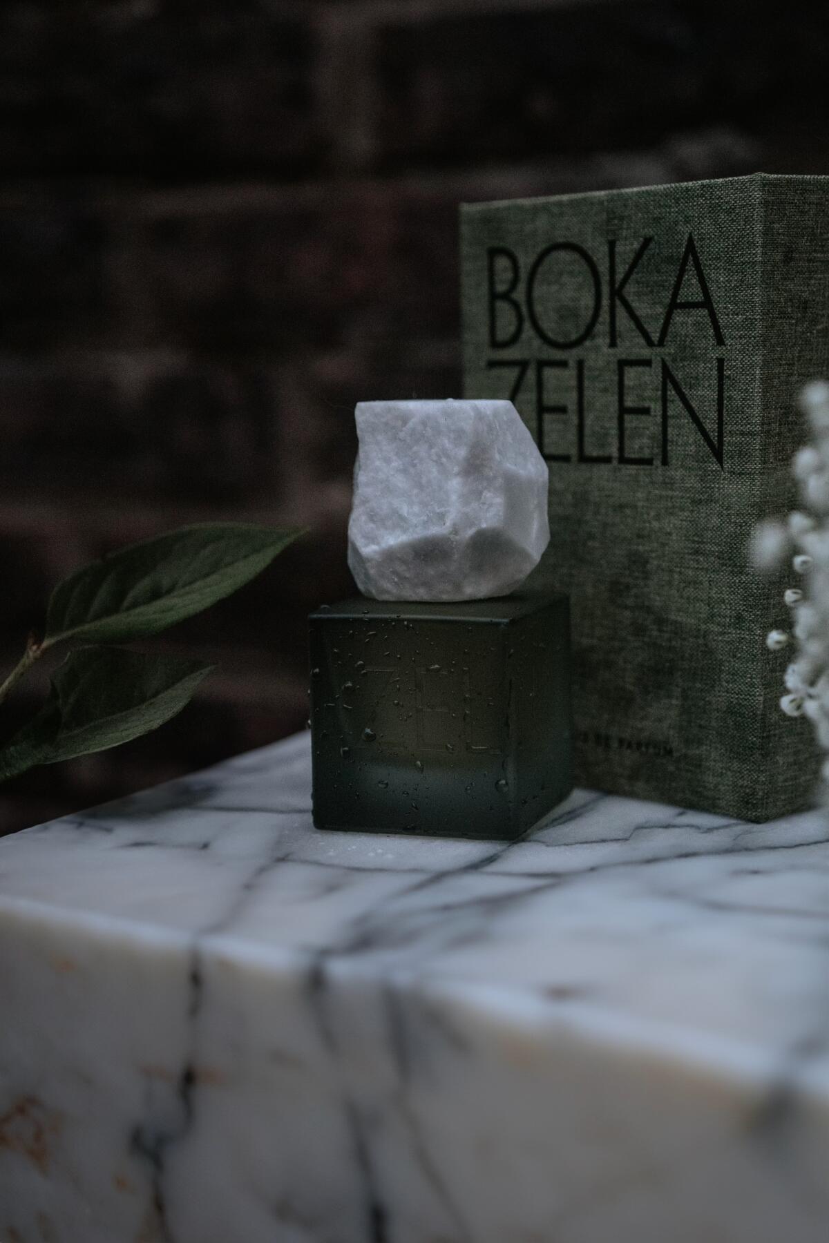 Zelen Boka сүрчиг - a шинэ сүрчиг эрэгтэй эмэгтэй 2023