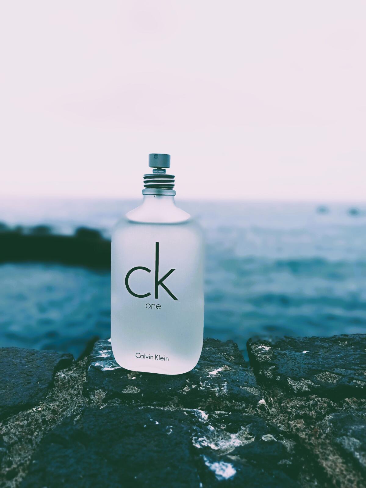 CK One Calvin Klein parfum - un parfum pour homme et femme 1994 CK One Calvin Klein parfum - un parfum pour homme et femme 1994