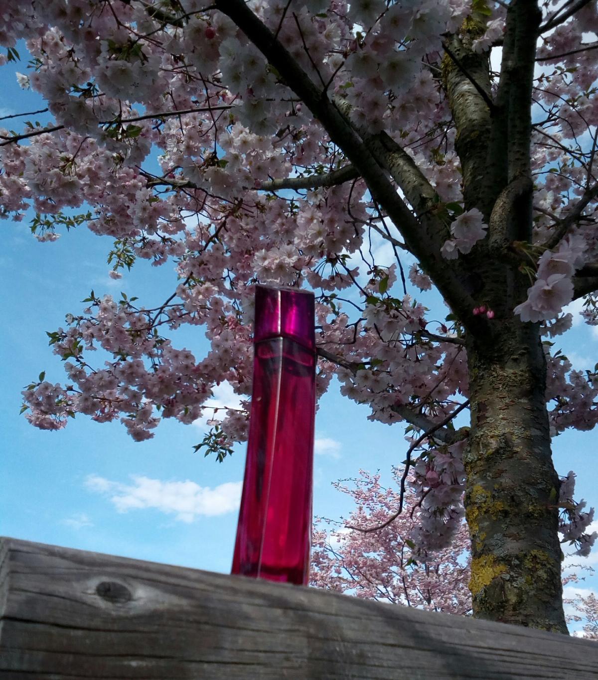 Escada Magnetism Escada parfem - parfem za žene 2003