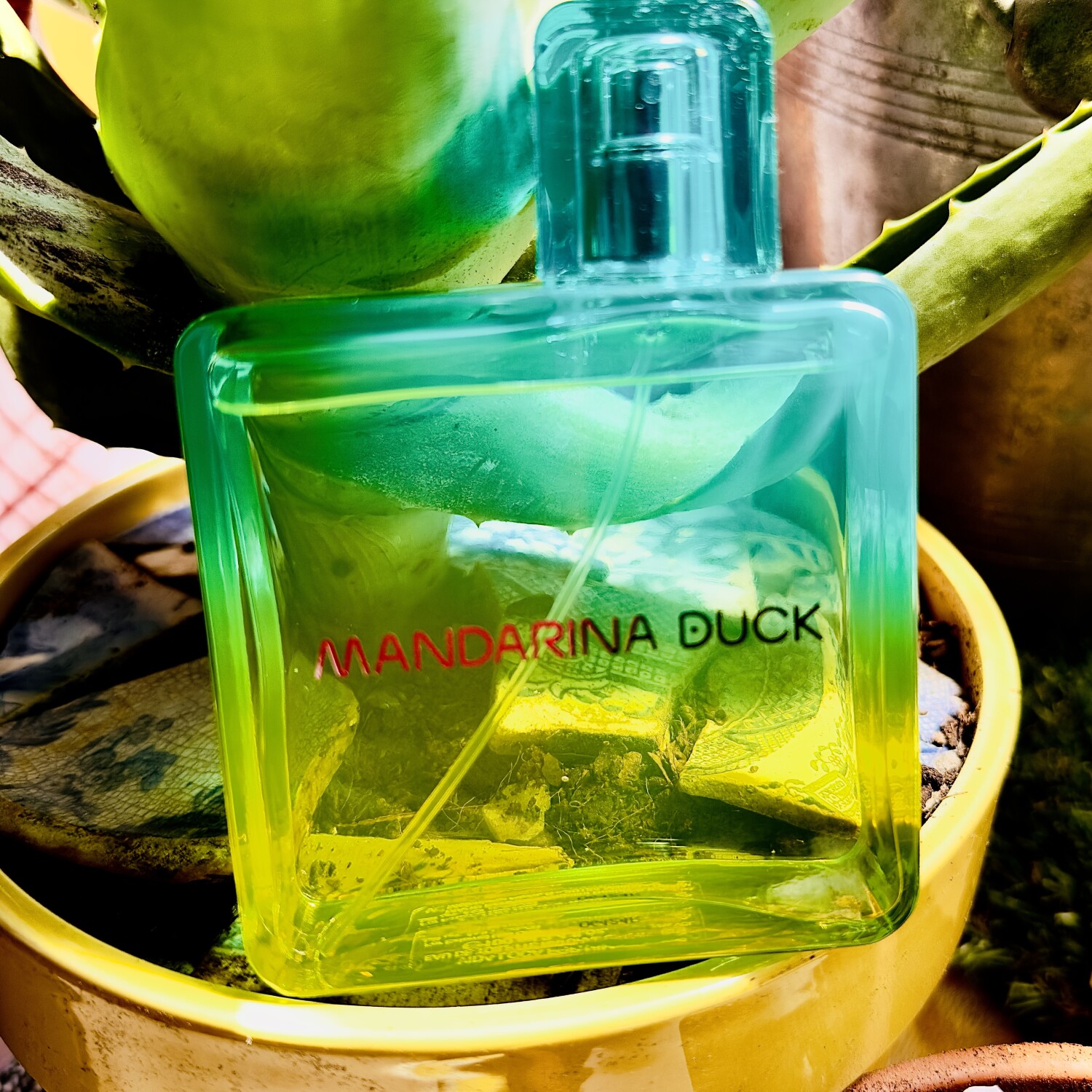 Vida Loca For Him Mandarina Duck Cologne - ein neues Parfum für Männer 2023