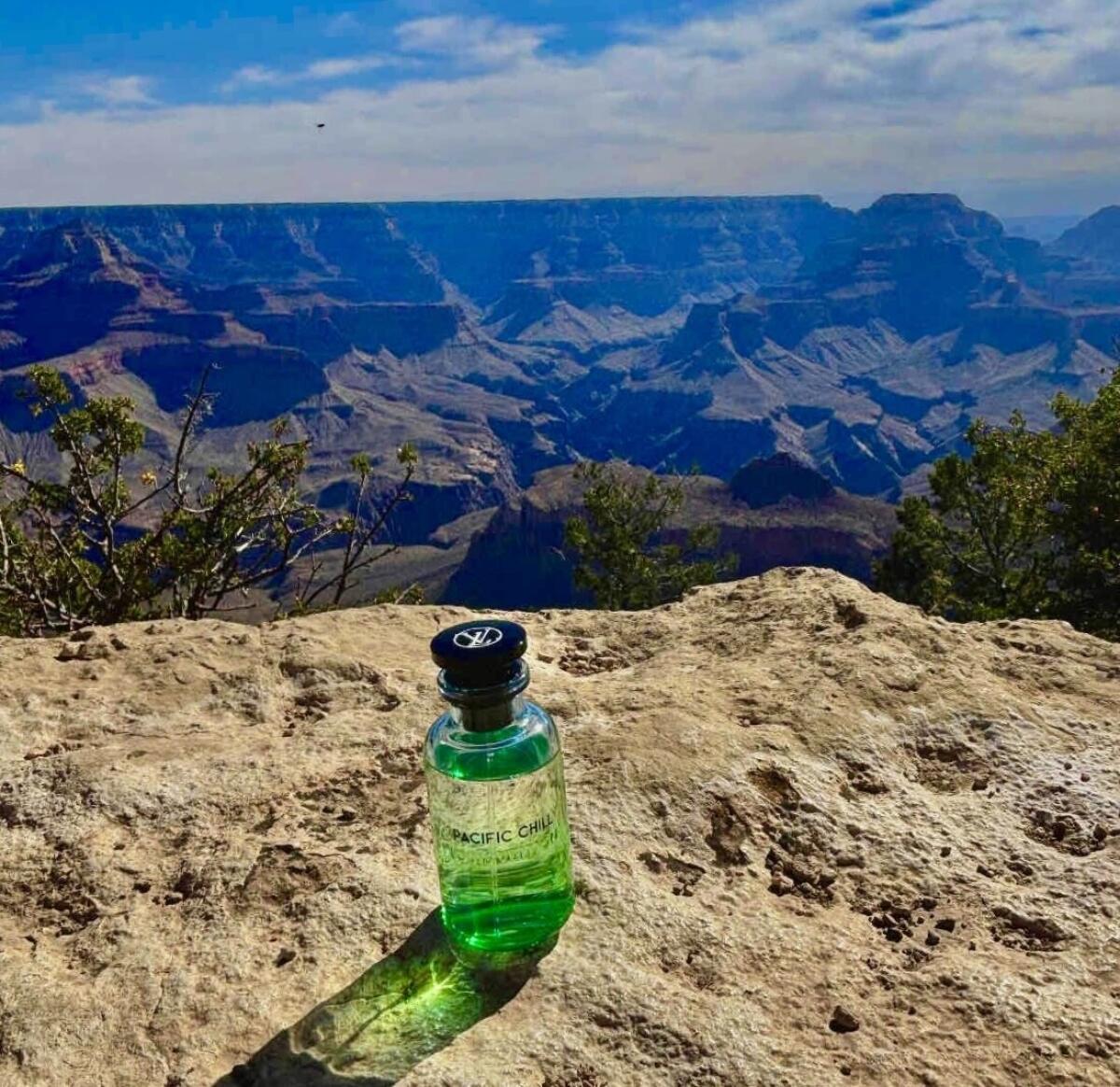 Pacific Chill Louis Vuitton άρωμα - ένα άρωμα για γυναίκες και άνδρες 2023