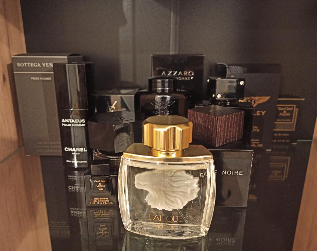 Encre Noire Lalique одеколон — аромат для мужчин 2006