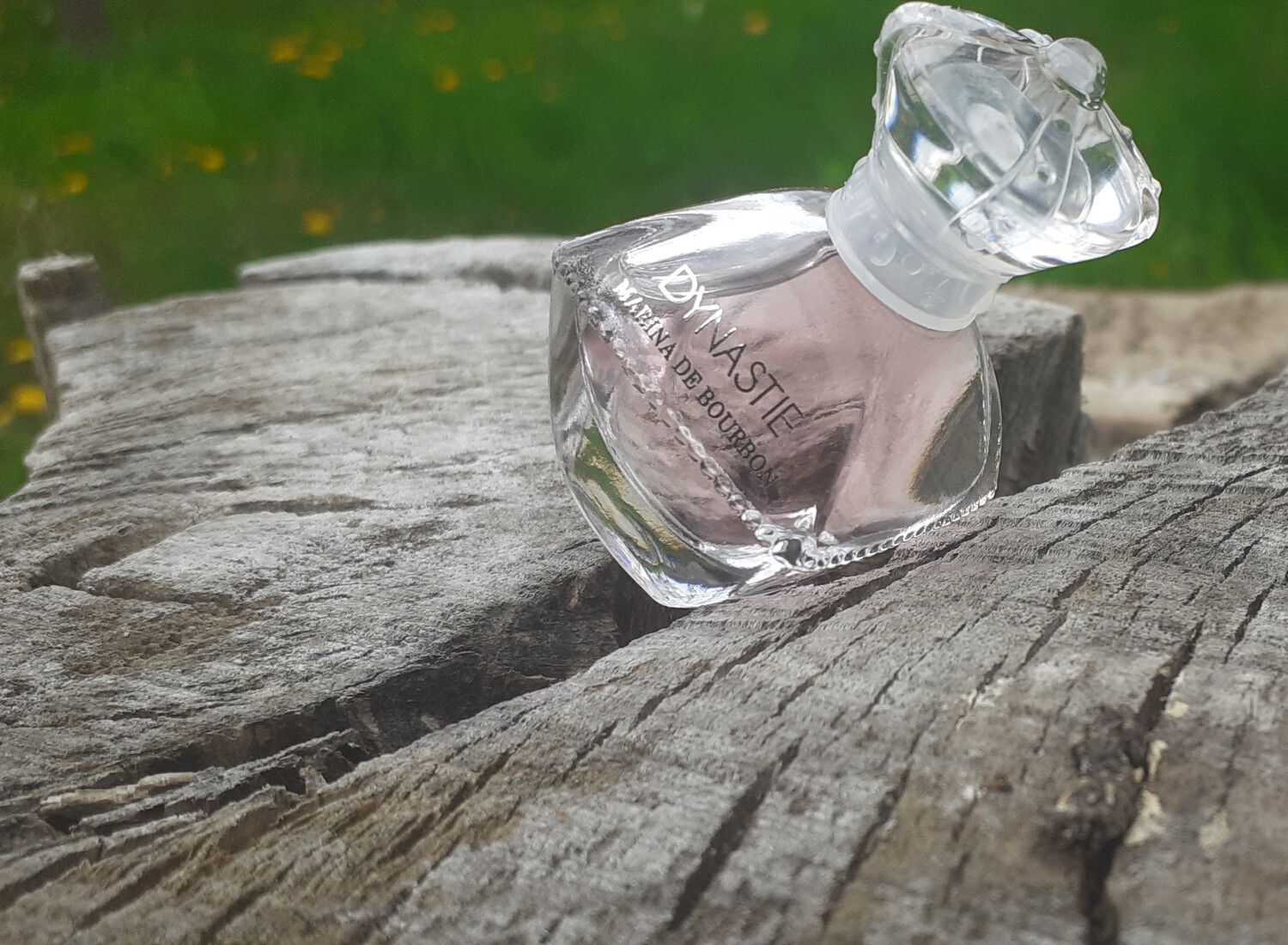 My Dynastie Princess Princesse Marina De Bourbon perfume - a fragrância ...