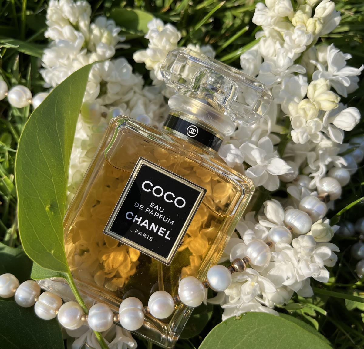 Coco Eau de Parfum Chanel fragancia - una fragancia para Mujeres 1984