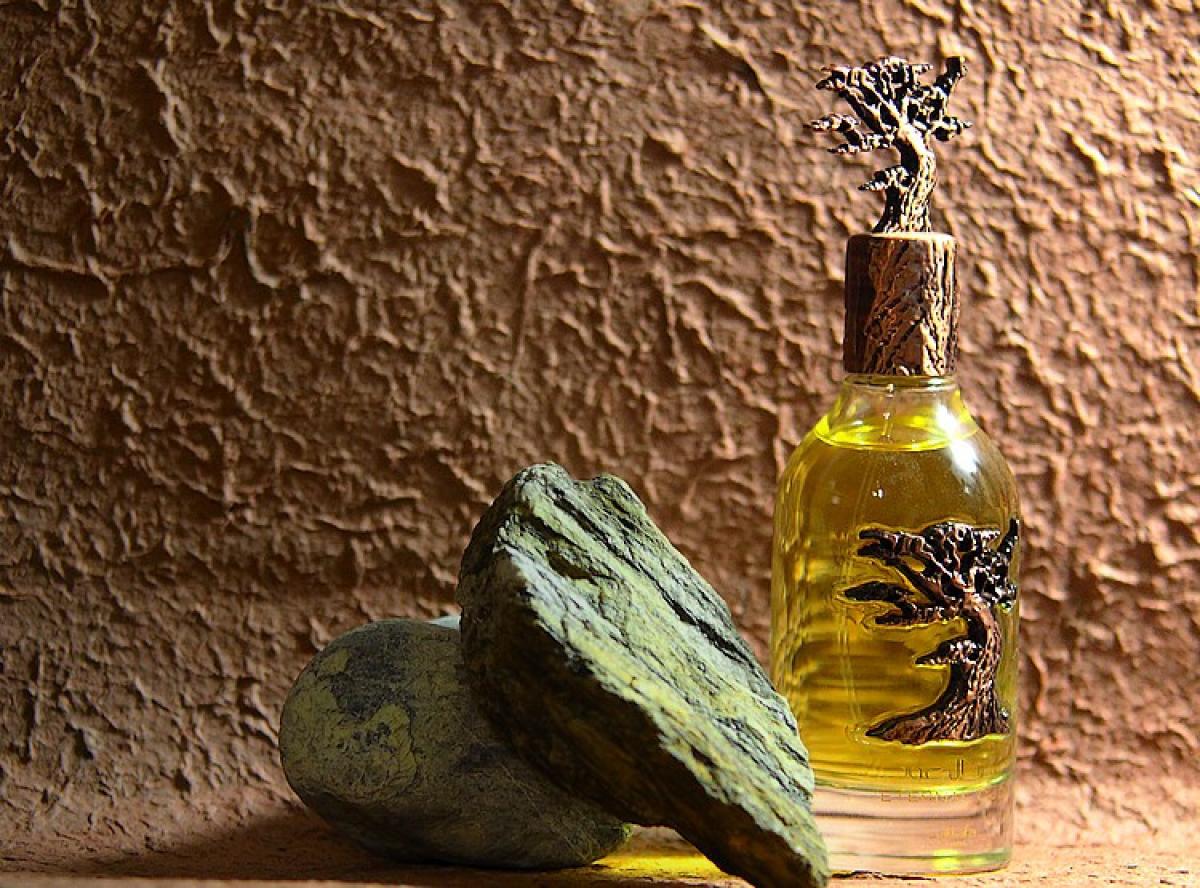 Eternal Oud Lattafa Perfumes - una novità fragranza unisex 2022