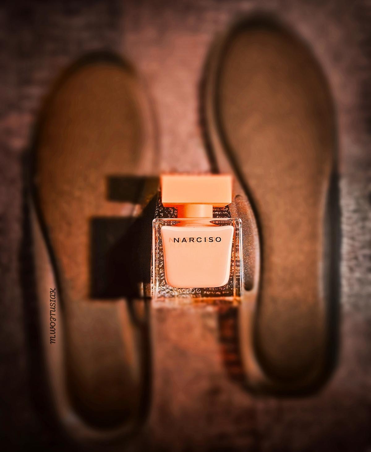 Narciso Poudree Narciso Rodriguez аромат — аромат для женщин 2016